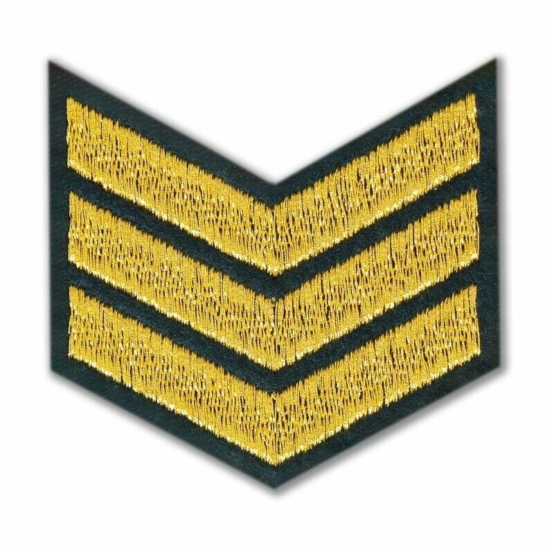 Курсовка 3 курс Академия ФСО, металлизированная. Без липучки. Размер 55x55 мм по вышивке.