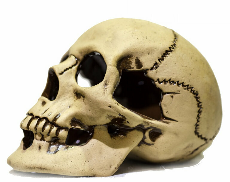 Декорация из терракотовой глины "Череп большой"