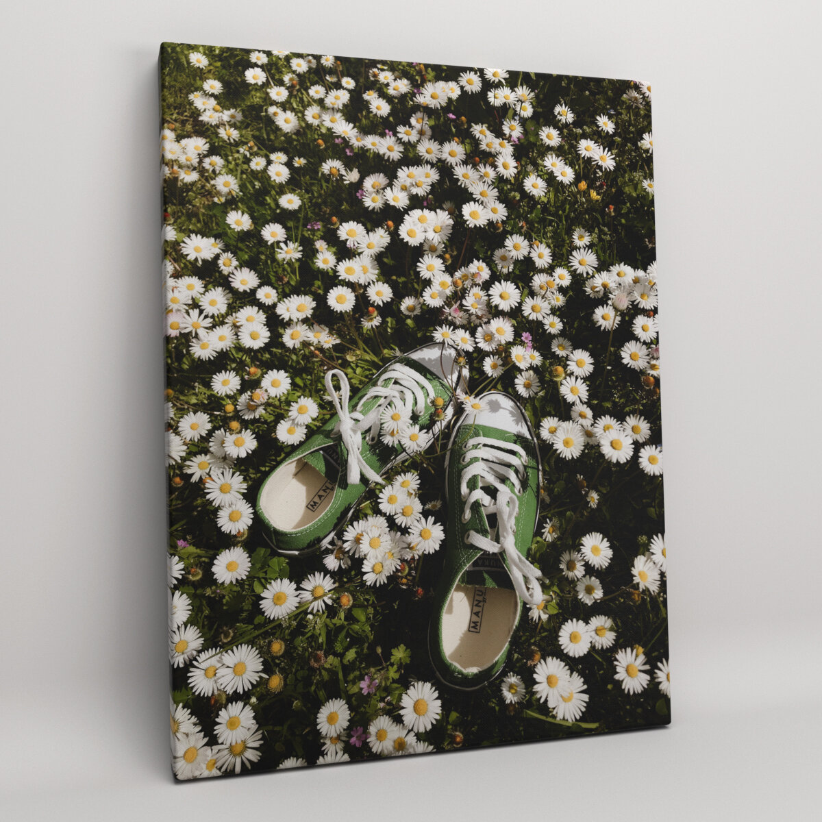 Картина на холсте (интерьерный постер) "Зеленые кеды на ромашковом поле" в скандинавском стиле, с деревянным подрамником, размер 30x40 см