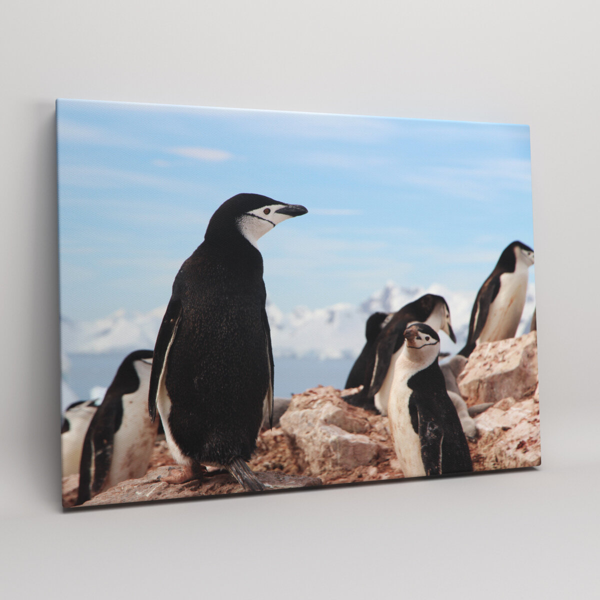Картина на холсте (интерьерный постер) "Пингвины" животные с деревянным подрамником, размер 60х45 см