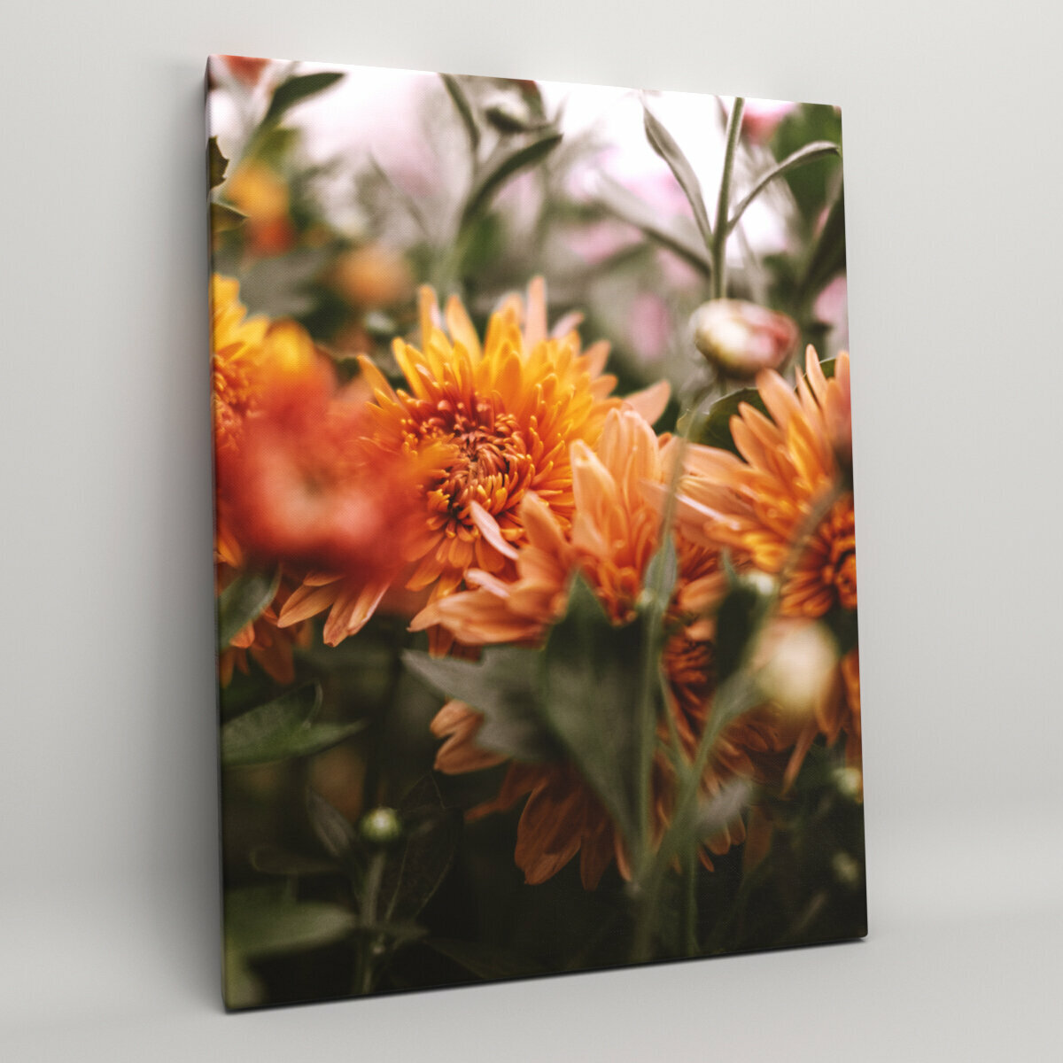 Картина на холсте (интерьерный постер) "Хризантема корейская" цветы и растения, с деревянным подрамником, размер 45x60 см