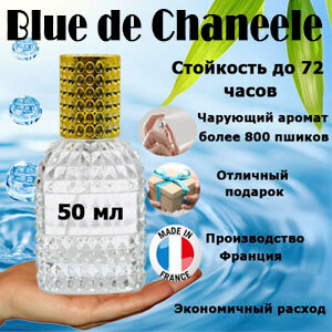 Масляные духи Blue de Chaneele, мужской аромат, флакон спрей 50 мл.