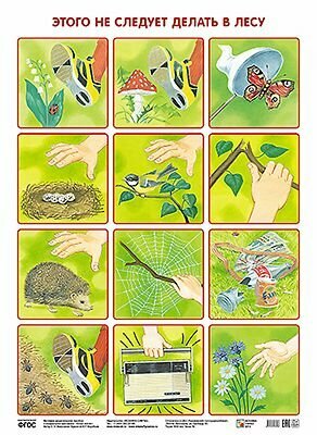 _Плакат(МозаикаС)_А2 Этого не следует делать в лесу (Николаева С. Н.) ФГОС