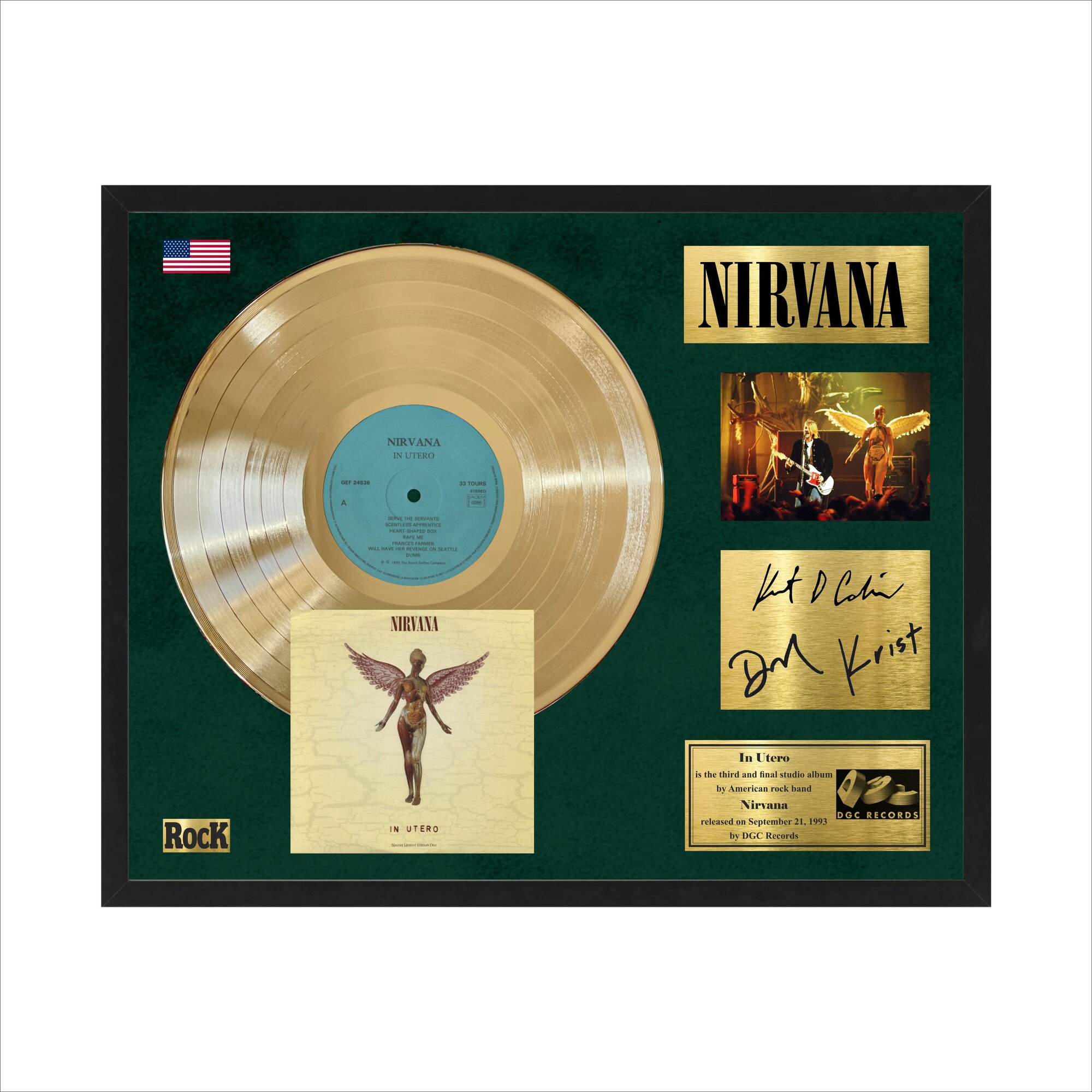 Картина с золотым диском Nirvana