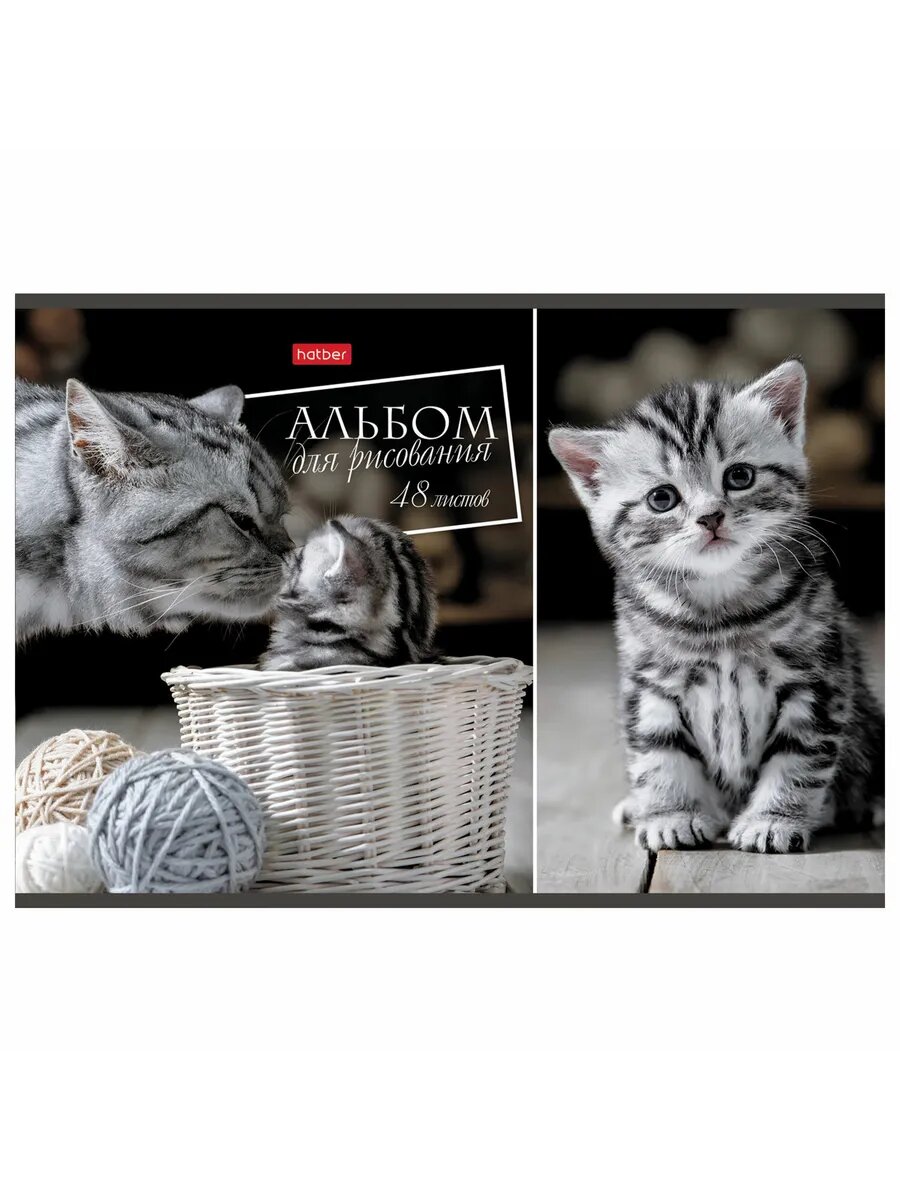 Альбом для рисования 1 шт, А4 48 л, скоба, 205х290 мм