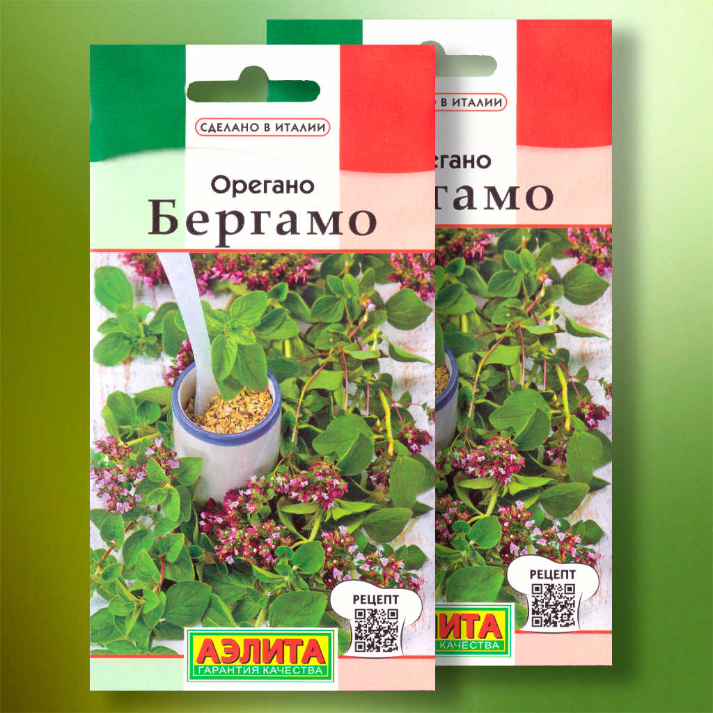 Семена орегано "Бергамо", изготовитель "Агрофирма Аэлита", 2шт.