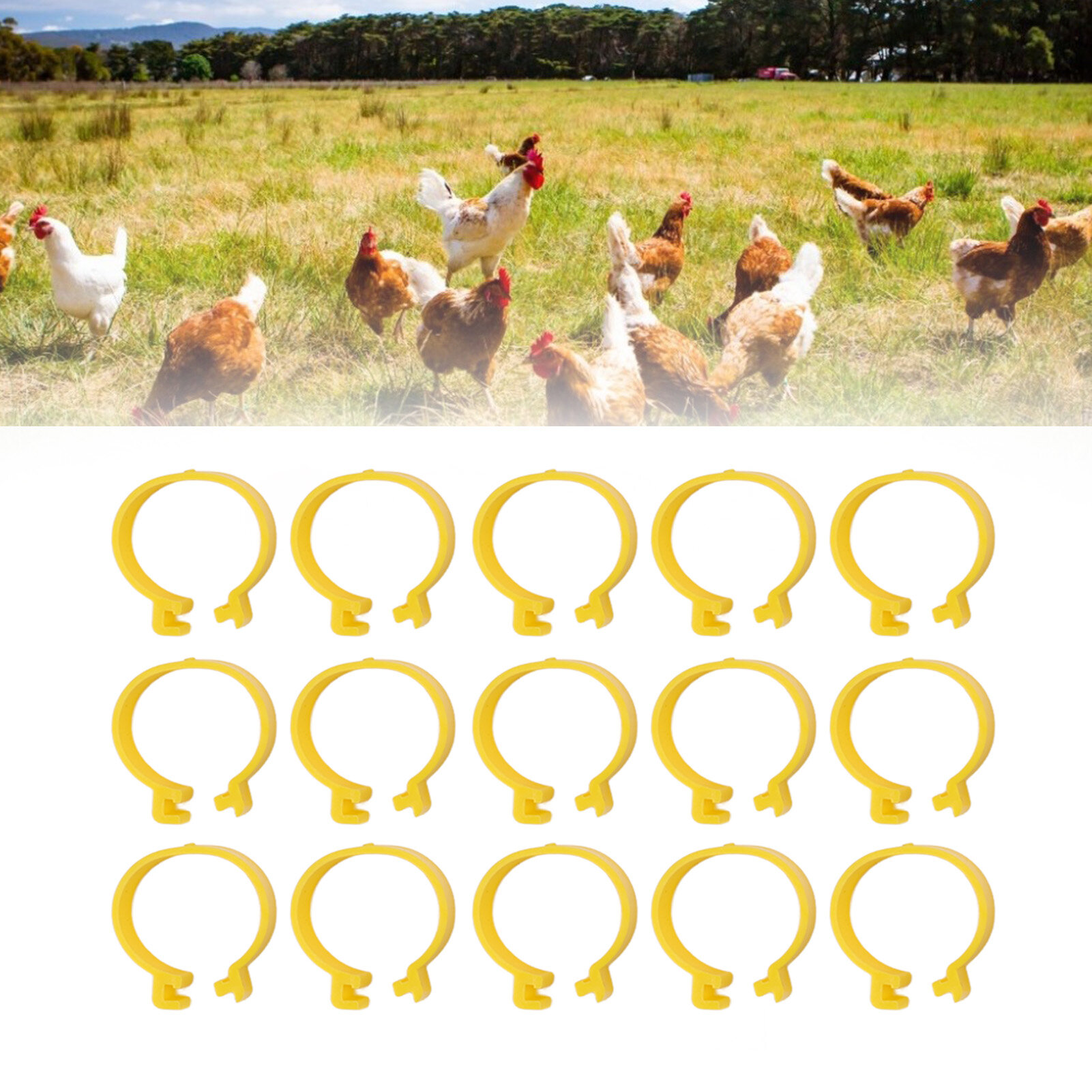 100 шт, кольца на щиколотке курицы, многоразовые пластиковые ободки для ног утки, зажимы для разведения кур, уток, гусей, желтый 25 мм/0,98 дюйма