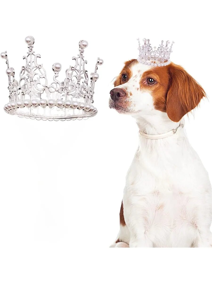 Головной убор для домашних животных на день рождения, корона с веревочной пряжкой, регулируемая повязка для украшения дня рождения кошек и собак