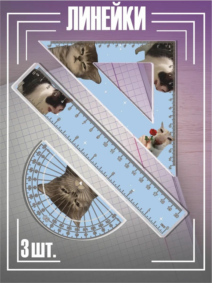 Канцелярия для школы набор линеек мем котики