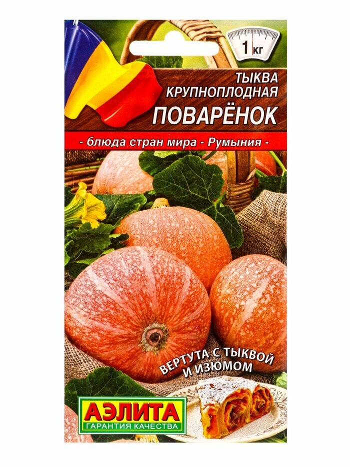 Семена Тыква крупноплая Поваренок Блюда стран мира, Ц/П,2 г 10945213