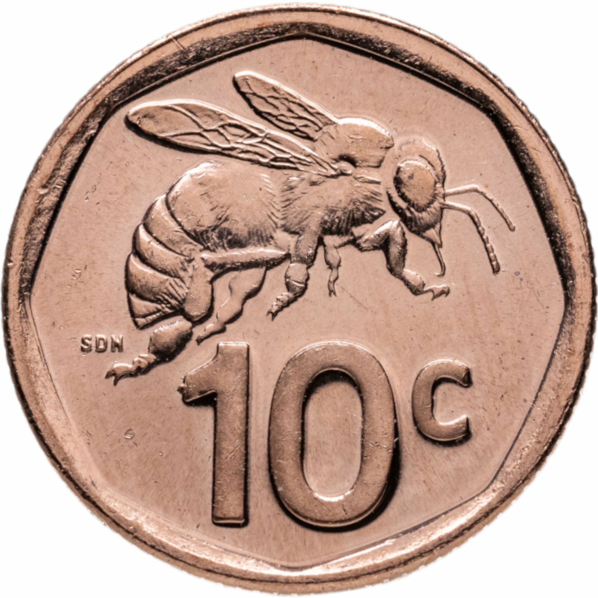 ЮАР 10 центов 2023, Сталь, в сохранности UNC