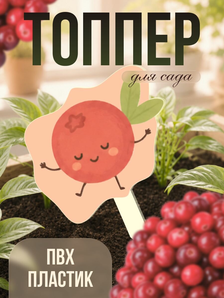 Фигурки для сада Персонаж Брусника