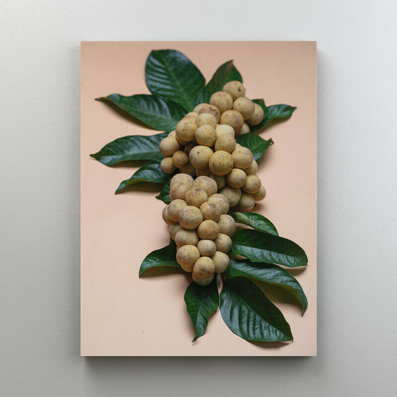 Интерьерная картина на холсте "Экзотические фрукты - веточка лонган" размер 22x30 см