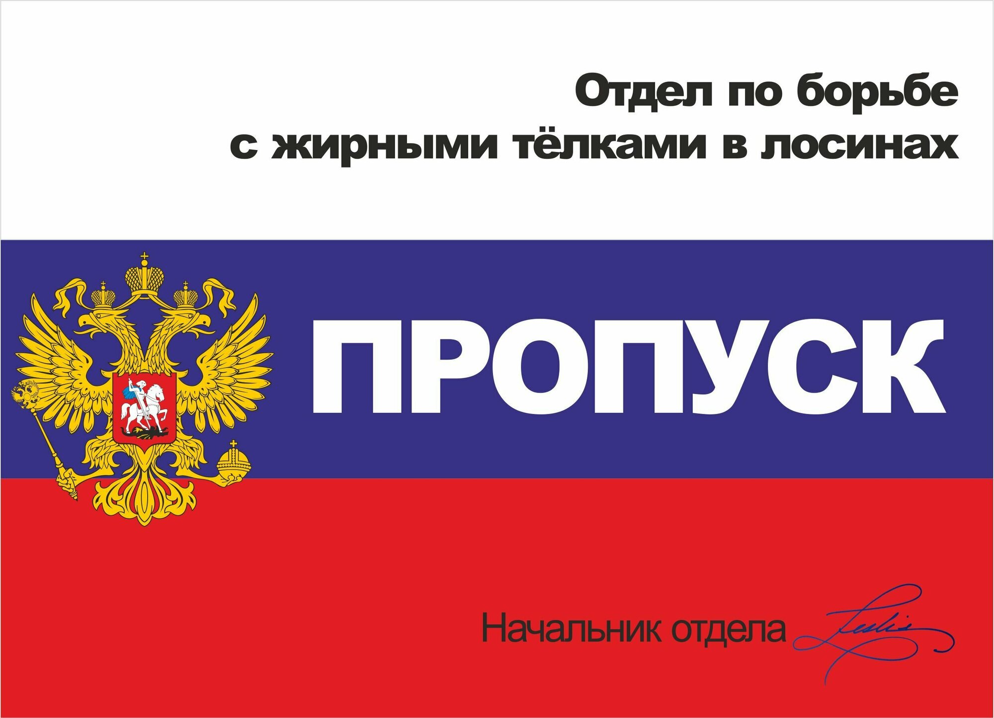 Пропуск лобовик. Сувенирный пропуск отдел по борьбе с жирными телками