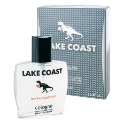 Одеколон Positive Parfum Cologne LAKE COAST edc 60ml для мужчин