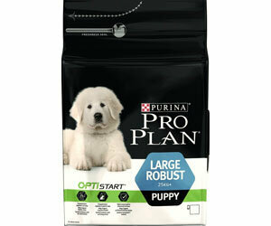 Сухой корм Pro Plan для щенков крупных пород с мощным телосложением курица и рис opti start large robust puppy 12кг