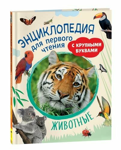 ЭнциклопедияДляПервогоЧтения Животные (с крупными буквами) (Гальцева С. Н, Клюшник Л. В.)