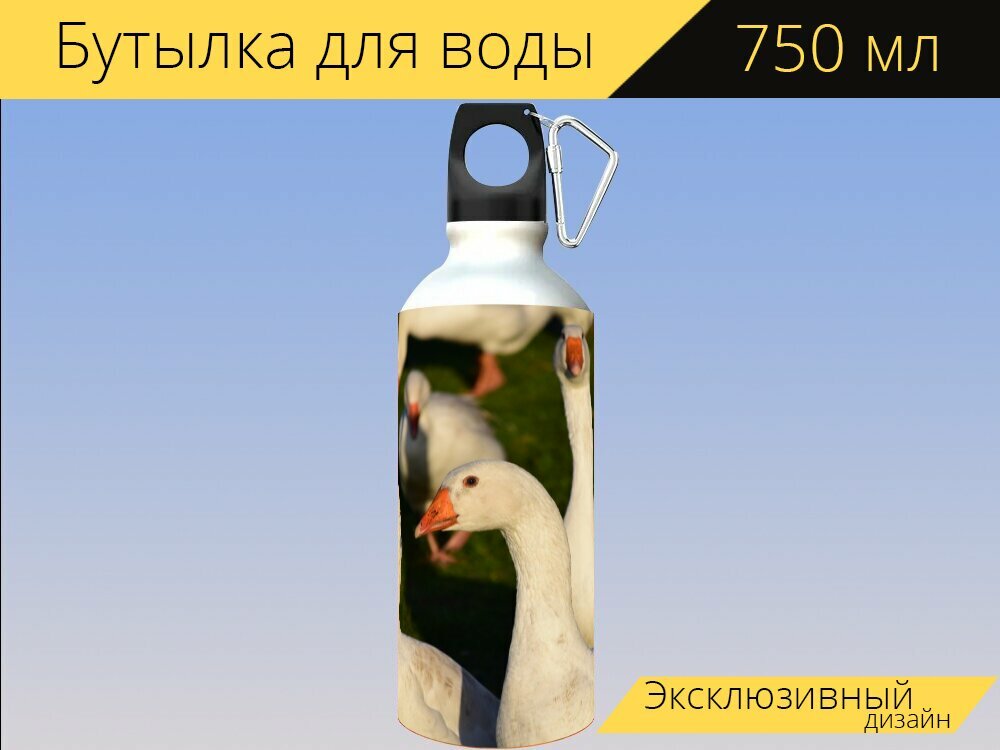 Бутылка фляга для воды "Гуси, гусиная стая, домашние гуси" 750 мл. с карабином и принтом