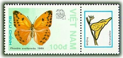 (1989-006a) Марка + купон Вьетнам "Красная сера" Без перфорации Бабочки III