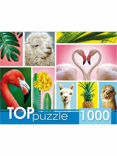 ПазлыTOPpuzzle 1000 деталей. Модный коллаж ГИТП1000-4137, (Рыжий кот)