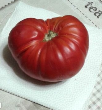 Коллекционные семена томата Бабушка Боуз