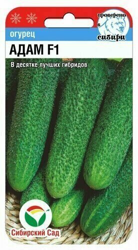 Огурец Адам F1 5шт Сибирский сад
