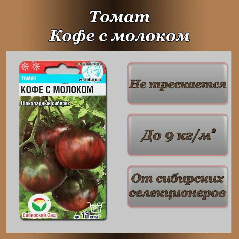 Томат Кофе с молоком (1 упаковка -20шт семян)