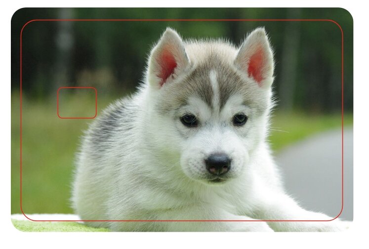 Наклейка на банковскую карту, стикер на карту, мемы, приколы, комиксы, стильная наклейка, животные, собака, Хаски