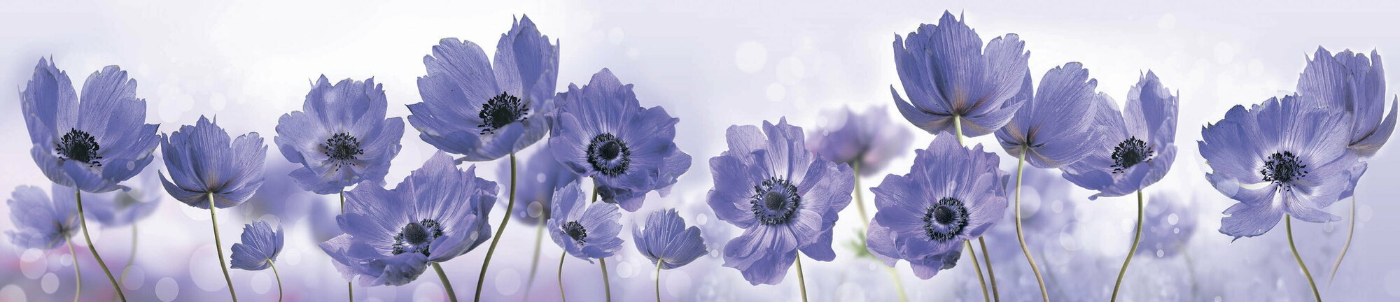 Кухонный фартук/стеновая панель МДФ для кухни 2800*600*6мм "Волшебство"