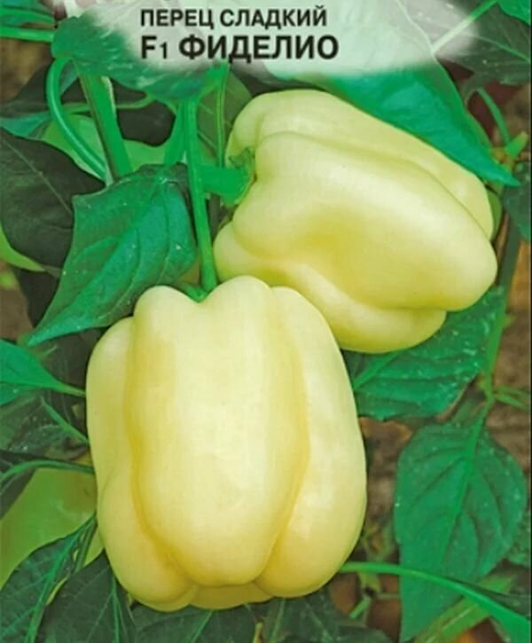 Коллекционные семена перца сладкого Фиделио F1