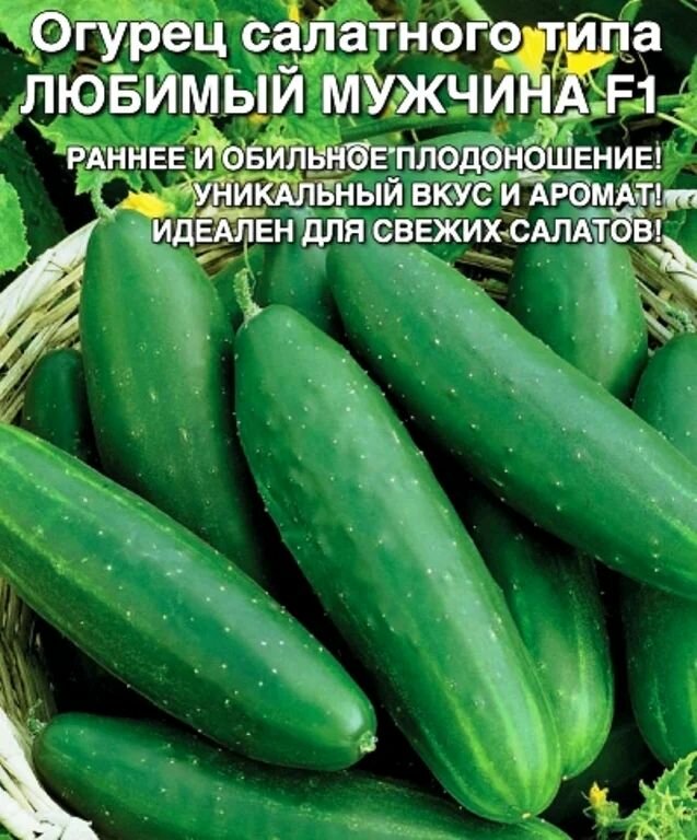 Коллекционные семена огурца Любимый Мужчина