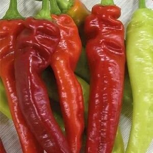 Коллекционные семена перца острого Огненный флажок