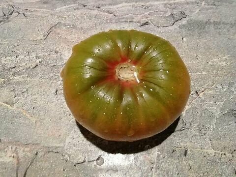 Коллекционные семена томата Ярсон 5