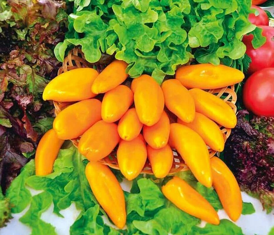 Коллекционные семена перца сладкого F1 Желтый апельсин