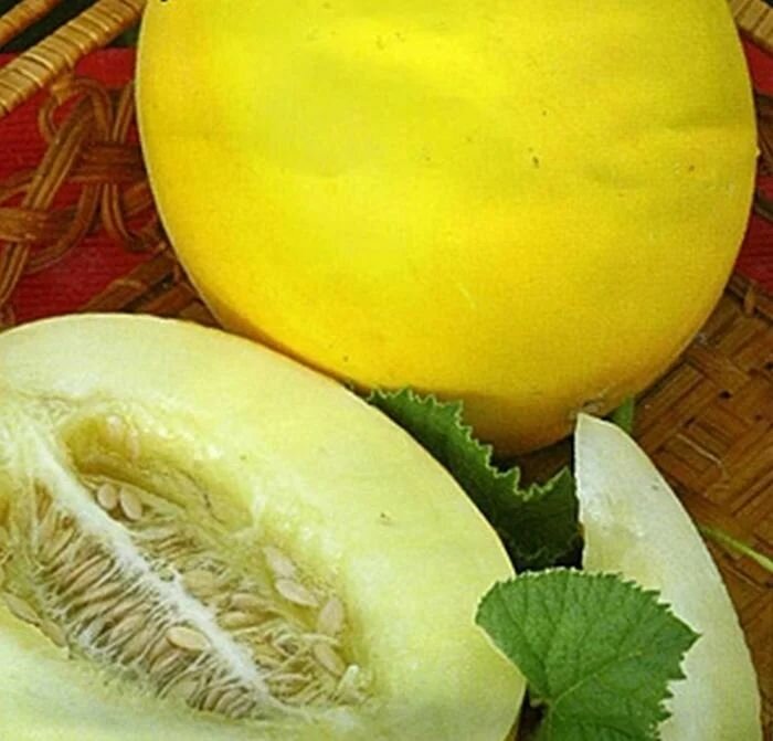 Коллекционные семена дыни Детская сказка