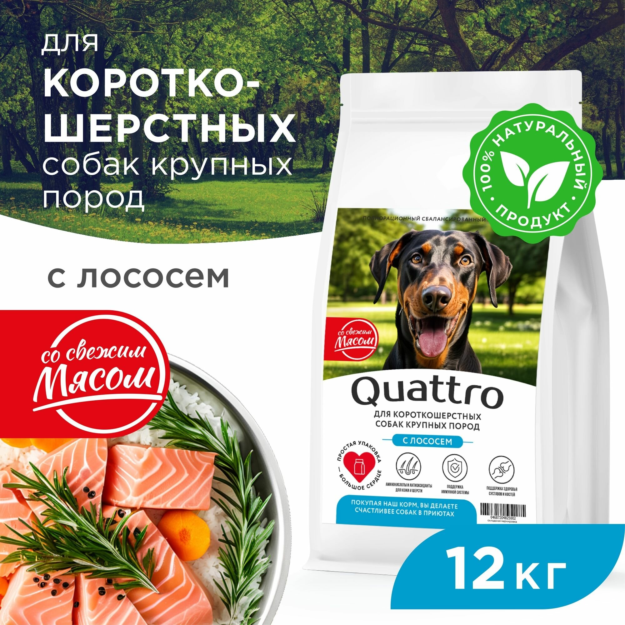 Корм сухой для взрослых собак крупных пород, премиум полнорационный комплекс, для короткошерстных собак, с лососем, 12 кг, QUATTRO