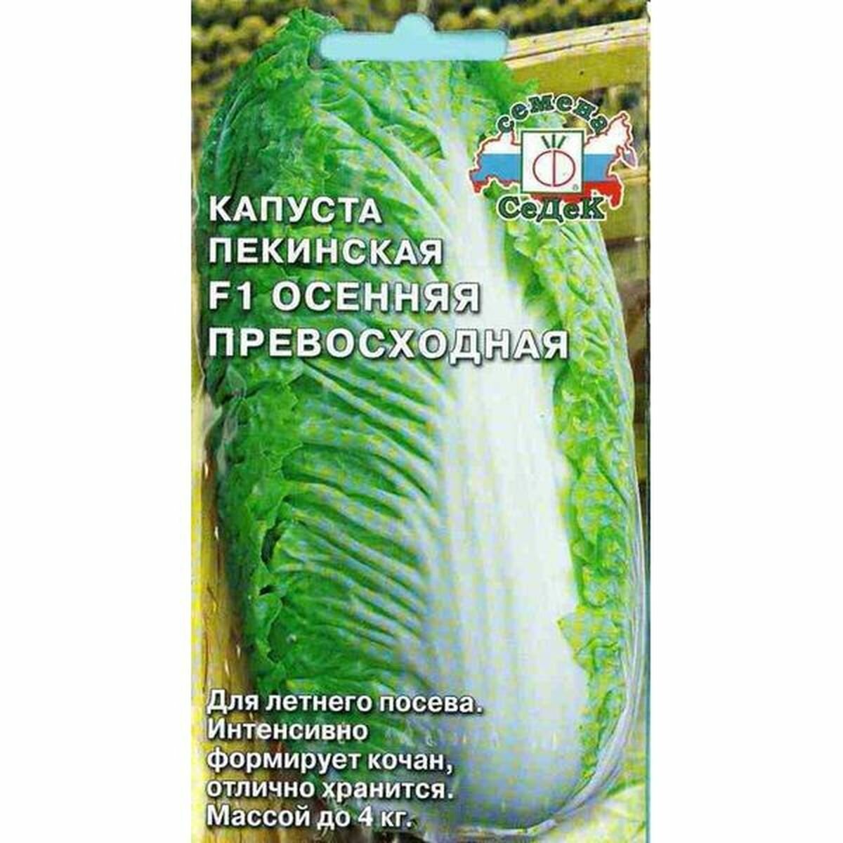Семена Капуста пекинская Осенняя Превосходная, позднеспелый, СеДеК, 1 пачка - 0.3г семян