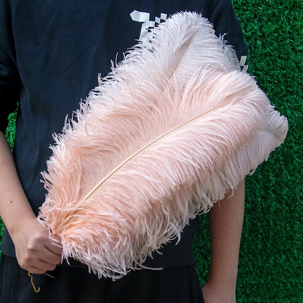 10 шт. белые натуральные страусиные перья 15-50 см WCPlume для поделок Розовый, 15-20 CM, champagne