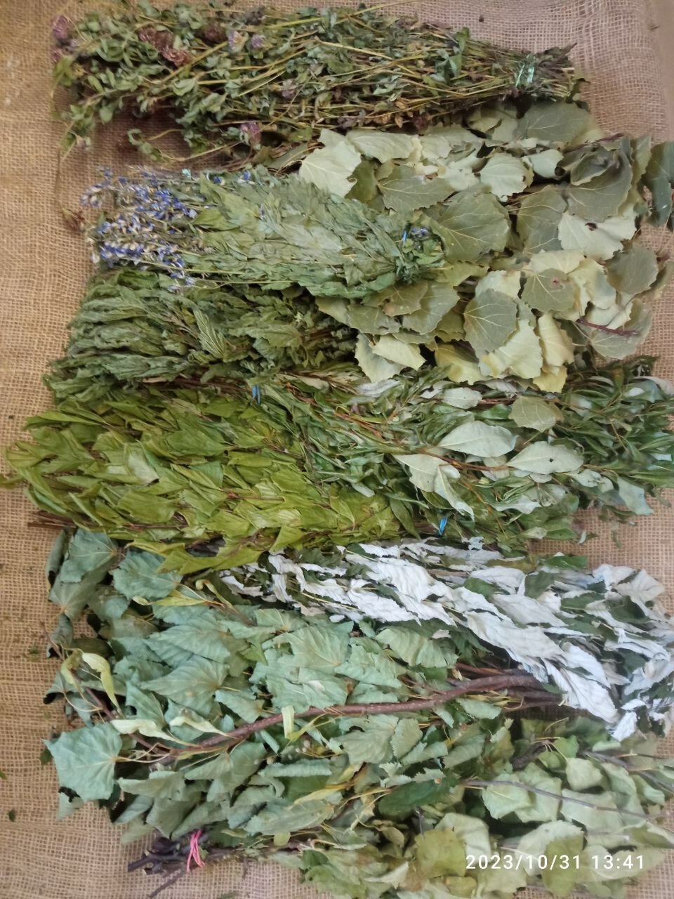 Лакомство для кроликов, шиншилл, хомяков, морских свинок, дегу, крыс, ChinZoo набор засушенных веников Любимый 9 шт.