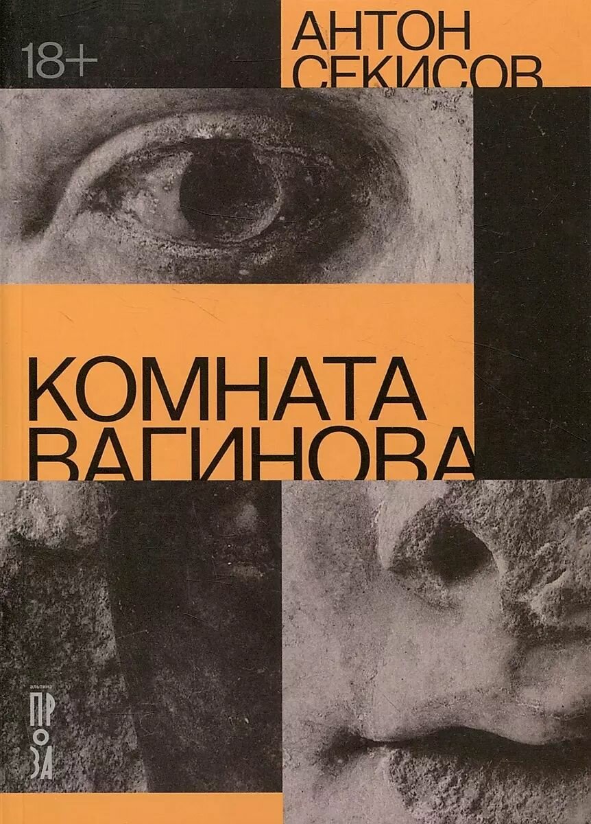 Книга Альпина Паблишер Комната Вагинова, 256 страниц