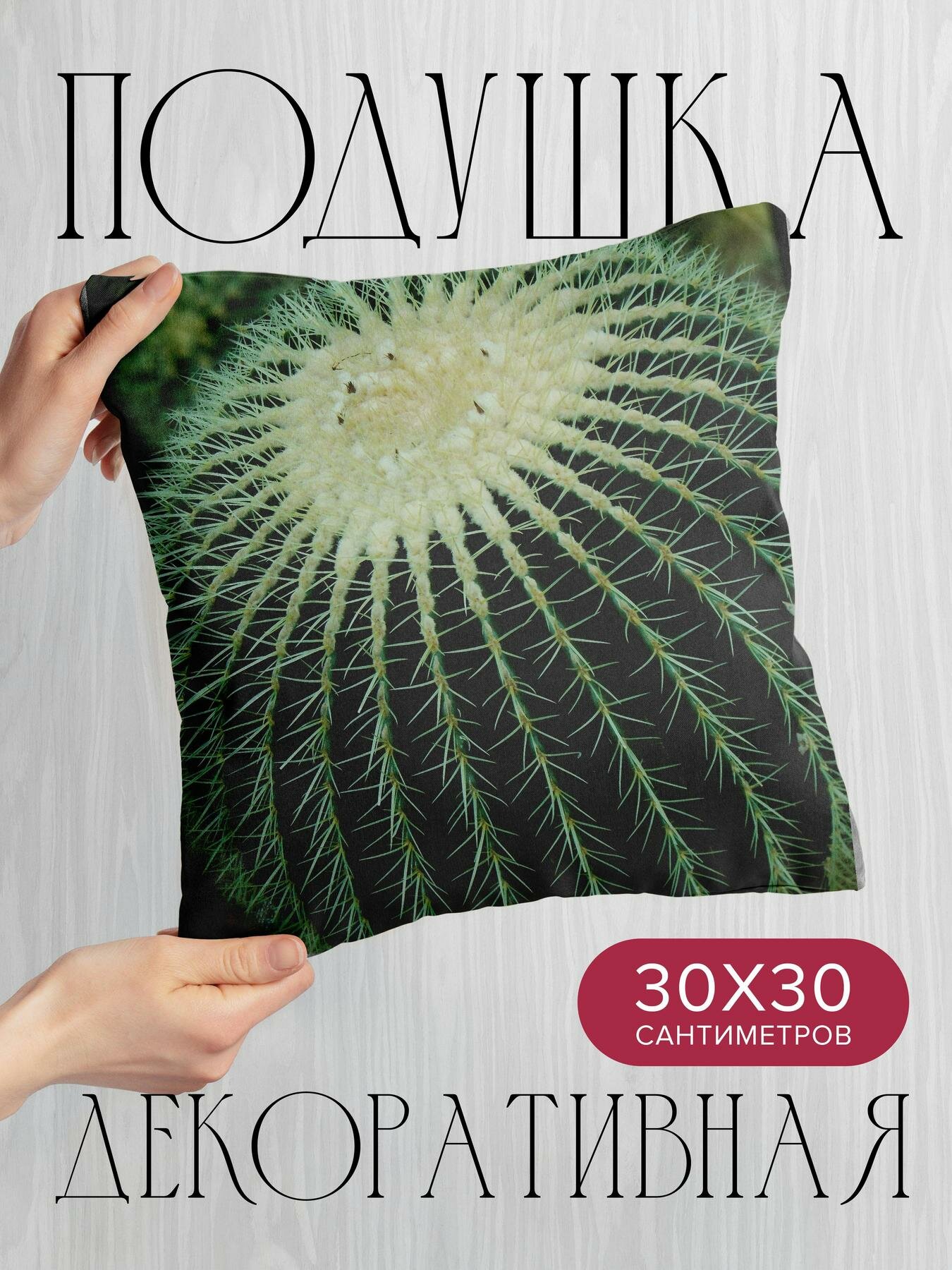 Подушка декоративная, 30x30см / Цветы / кактус / суккулент