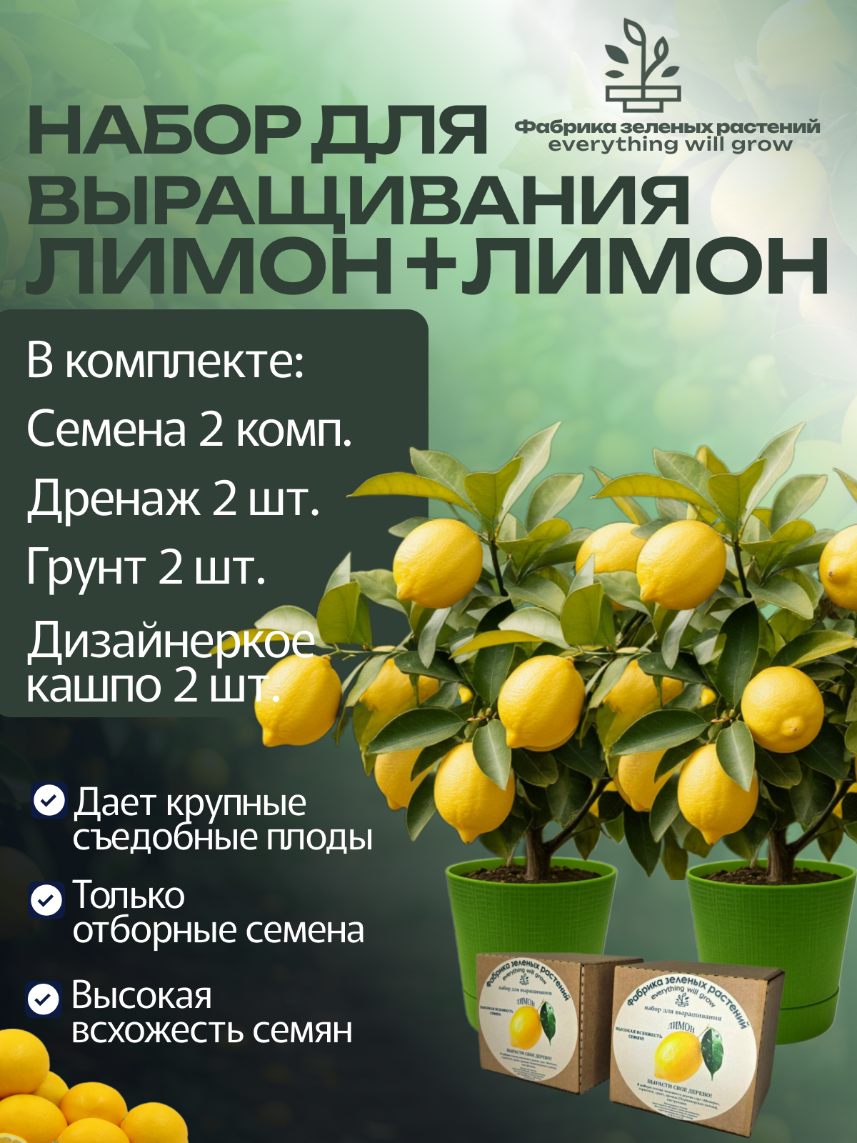 Домашний лимон, набор, лимонное дерево 2шт.