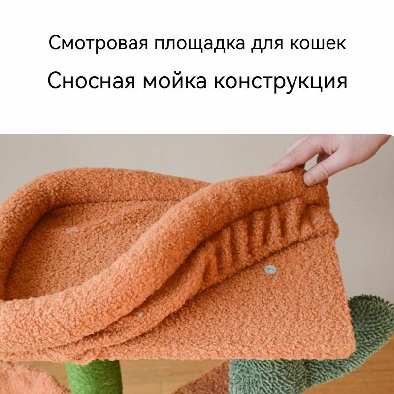 Когтеточка — фото 1