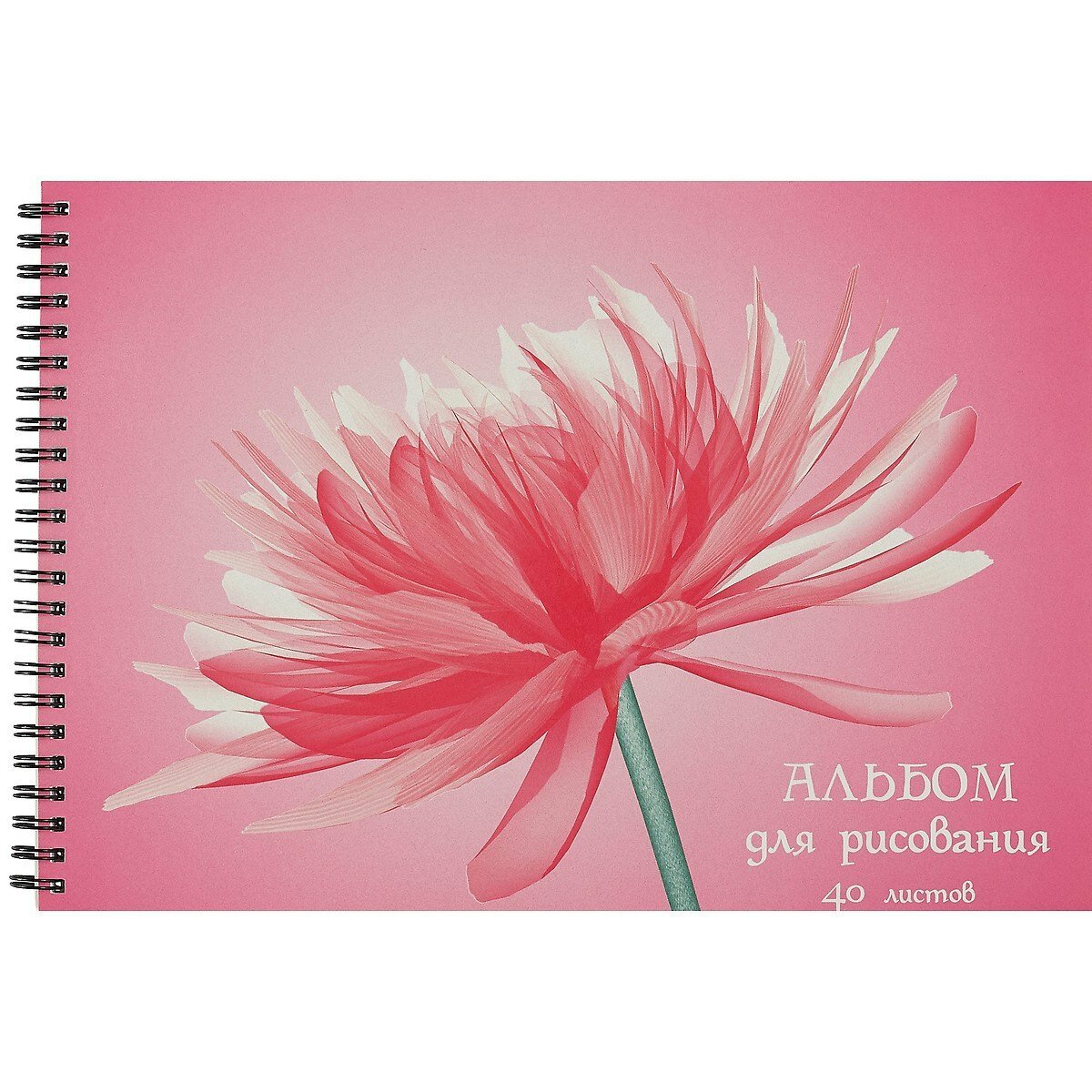 Альбом для рисования Listoff, "Цветочная нежность", А4, 40 листов, на гребне