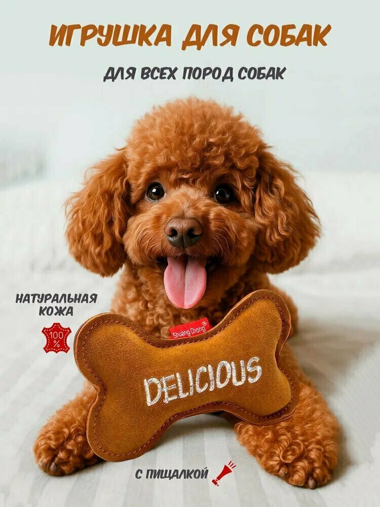 Игрушка для собак "Кость", натуральная кожа, для мелких и крупных собак