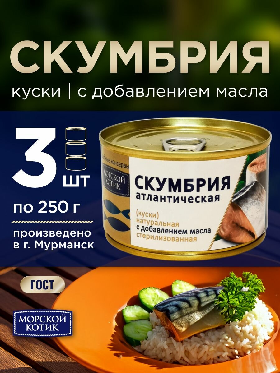 Морской котик Скумбрия атлантическая натуральная в масле 250г, набор 3 шт.