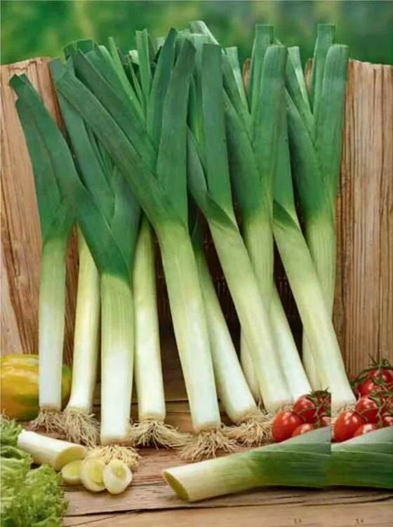 Коллекционные семена лука порей Зимний гигант