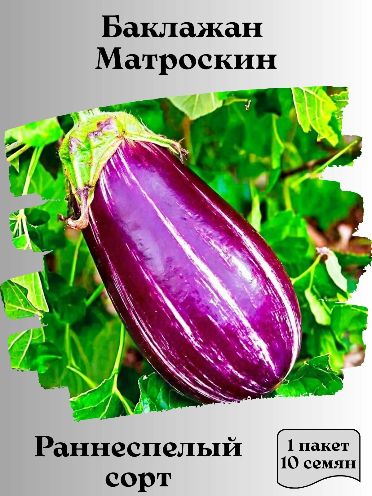 Баклажан Матроскин, семена, 10 шт, 15 гр.