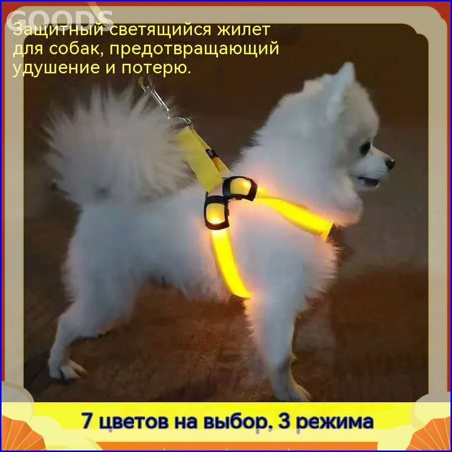 Светящаяся нейлоновая шлейка премиум для собак малых и средних размеров, регулируемая