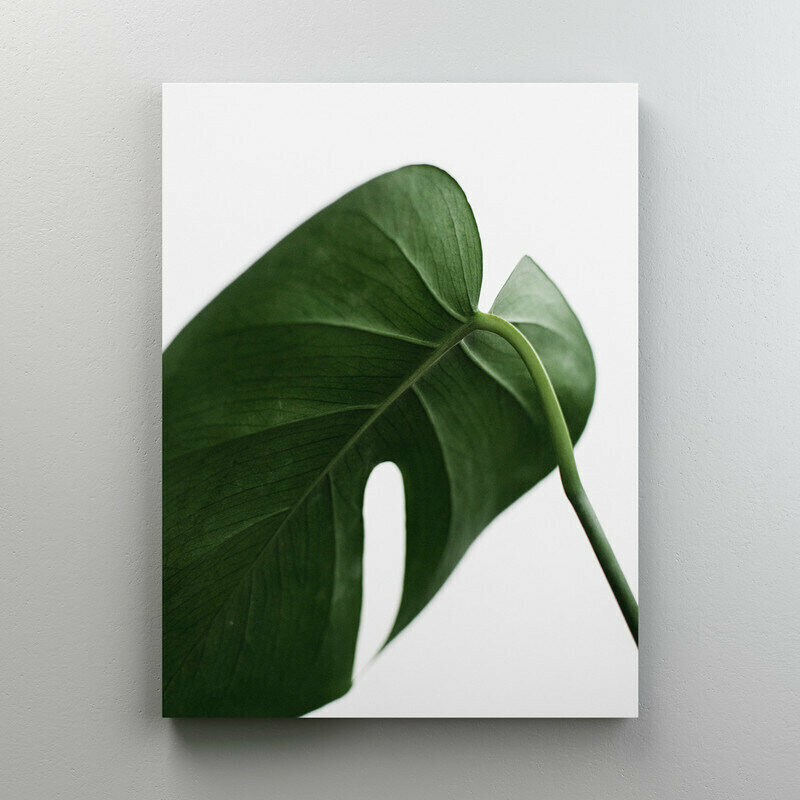 Интерьерная картина на холсте "Крупные тропические растения - Монстера" размер 22x30 см